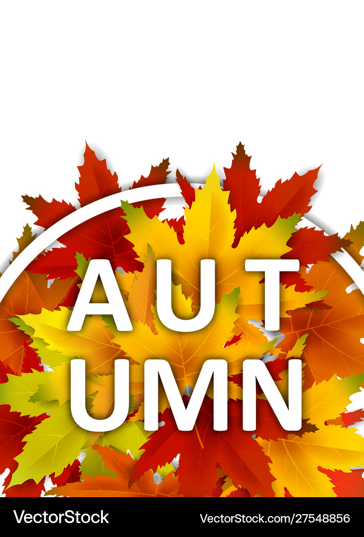 Autumn background template with falling bunch Vector Image