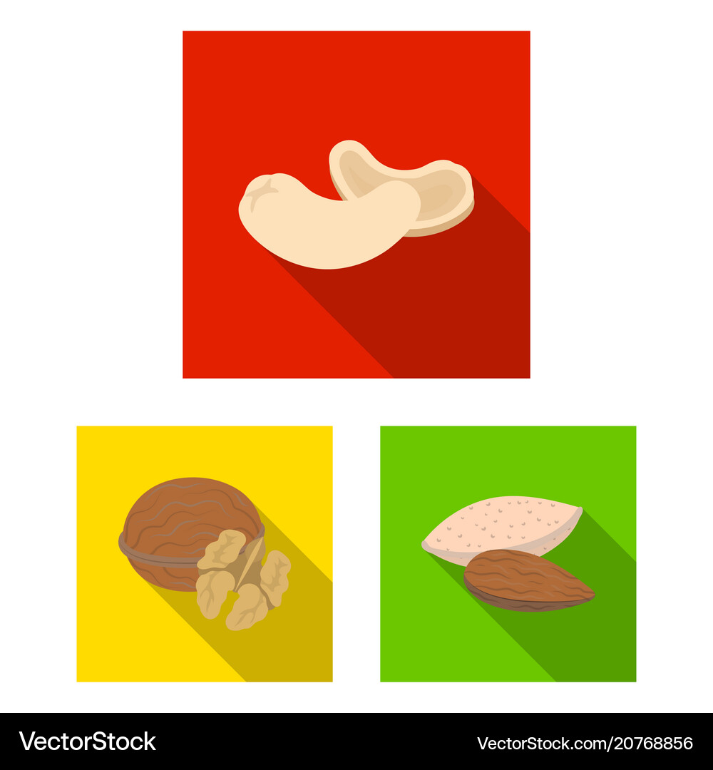 Different kinds of nuts flat icons in set Vector Image