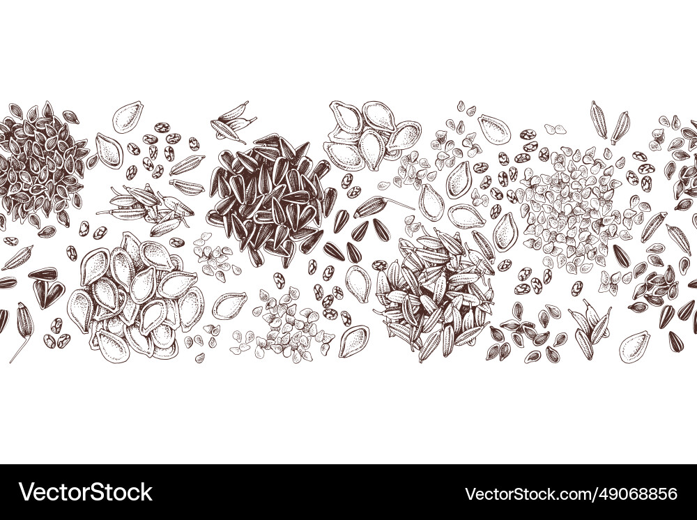 Edible seeds hand drawn seamless border Royalty Free Vector