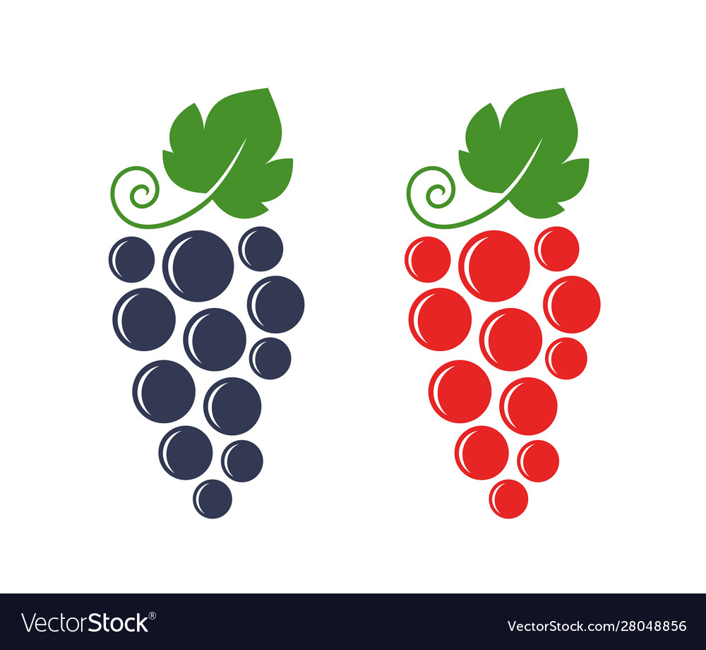 Grapes Royalty Free Vector Image - VectorStock