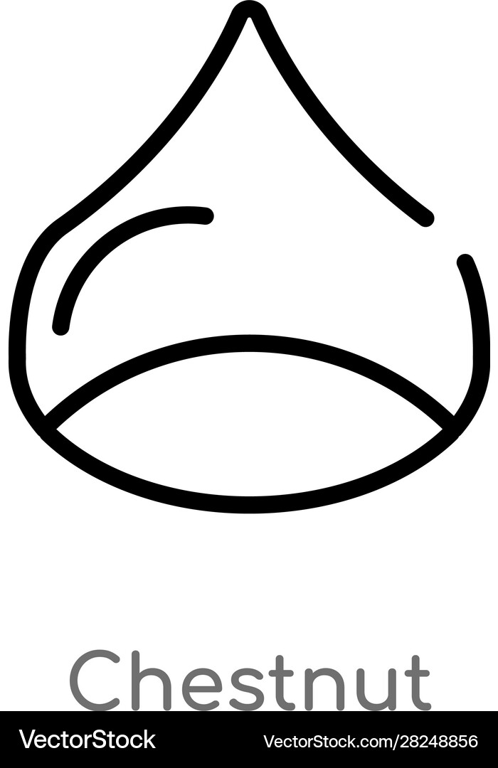 Outline chestnut icon isolated black simple line Vector Image