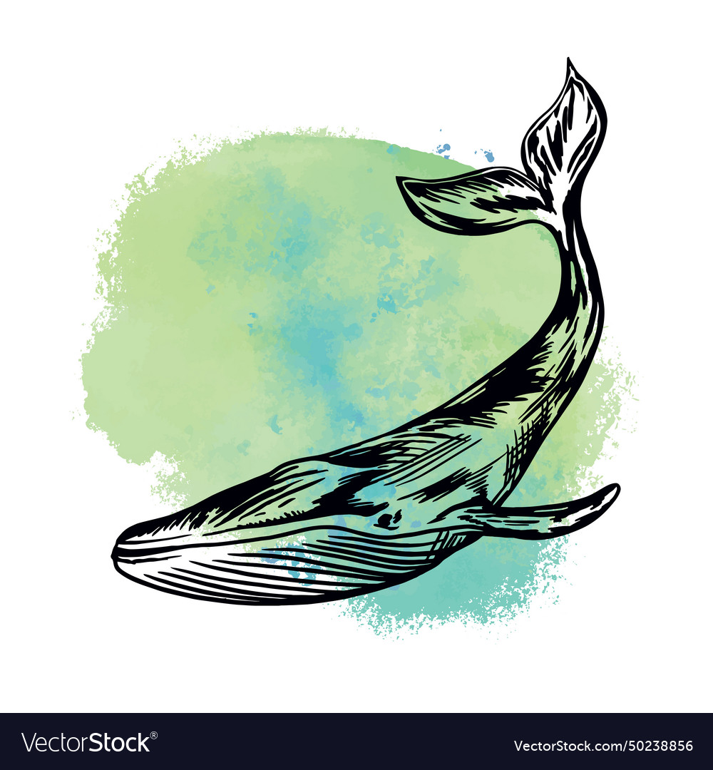 Sea whale graphics on a blue Royalty Free Vector Image