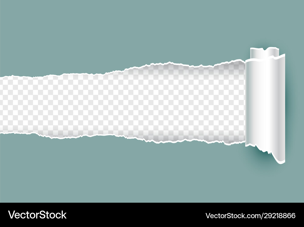 Realistic torn ripped paper with rolled edges Vector Image