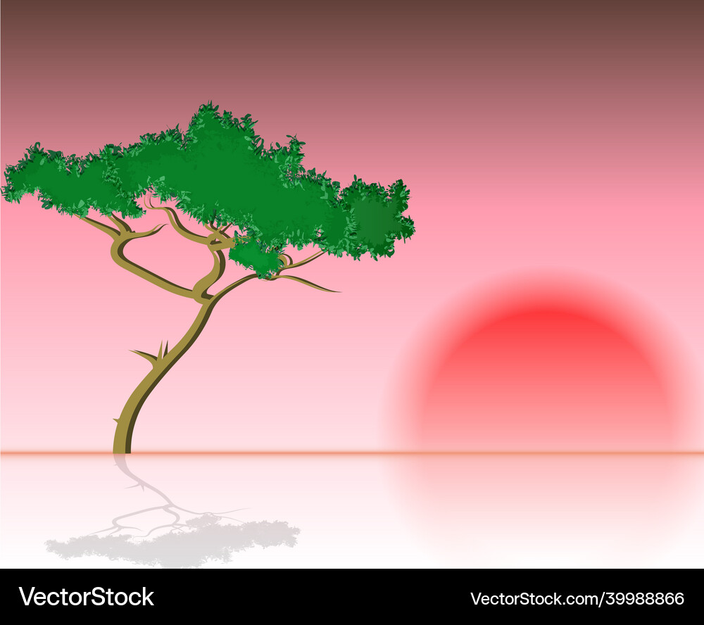 Sunrise and sunset trees and shadows Royalty Free Vector