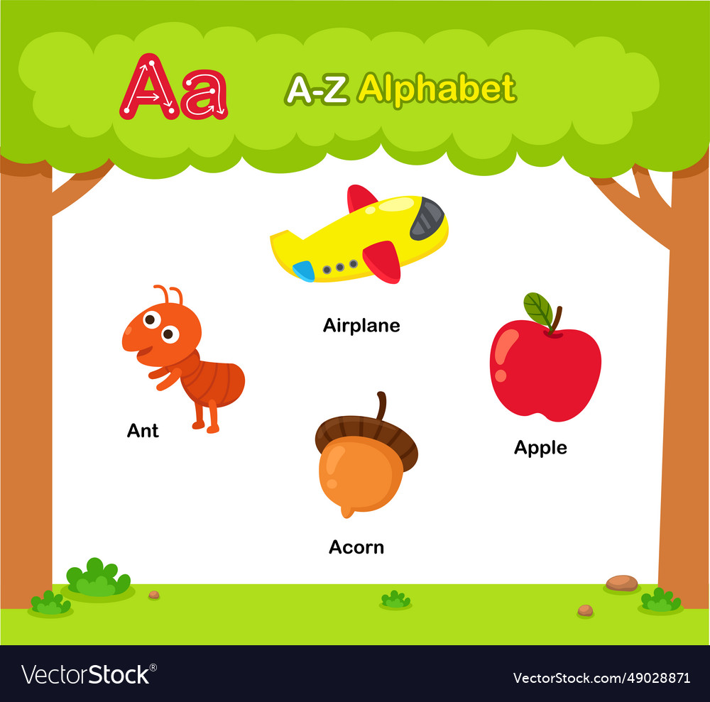 Alphabet letter a education vocabulary Royalty Free Vector