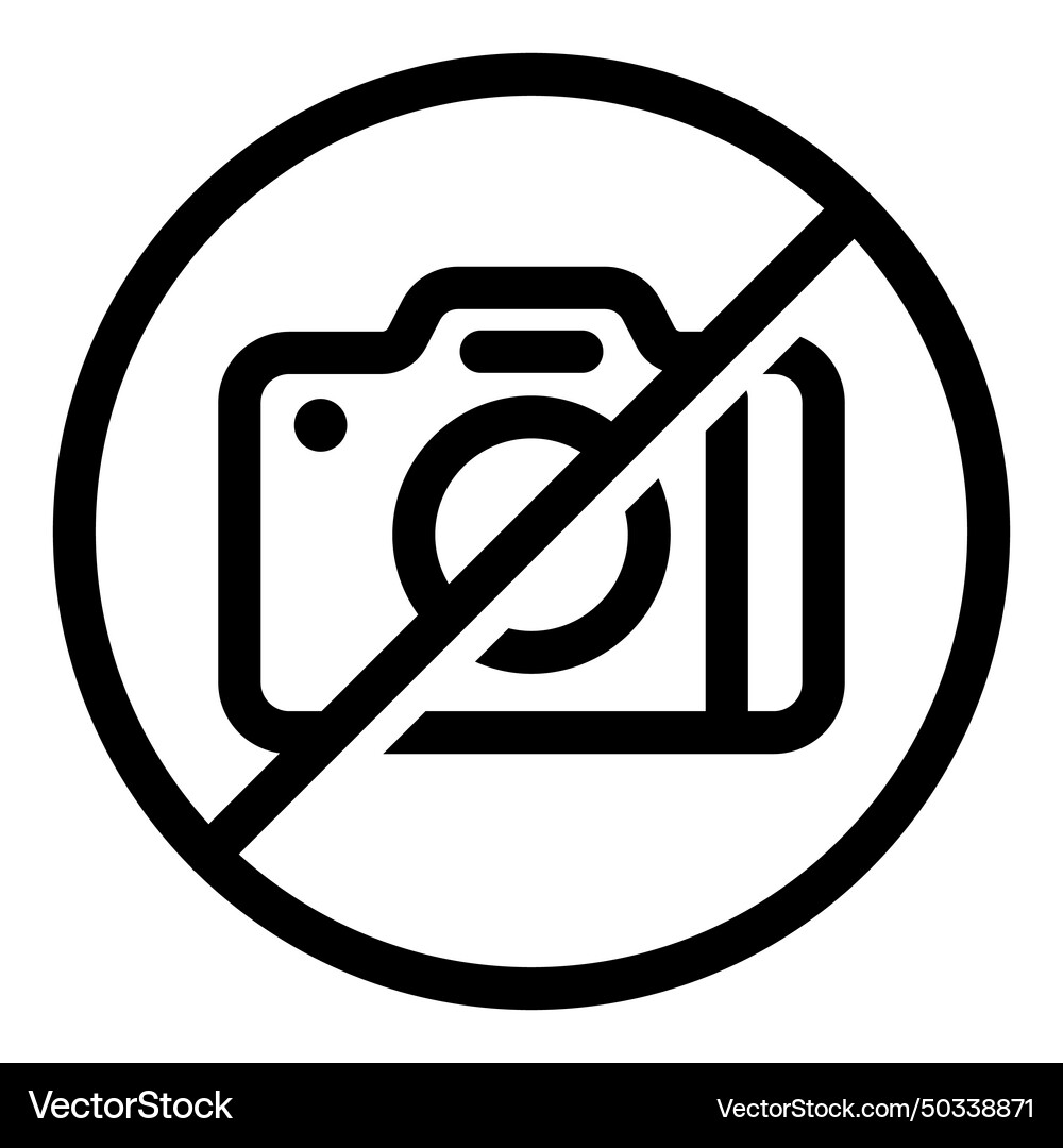 No photo restriction flat icon isolated on white Vector Image