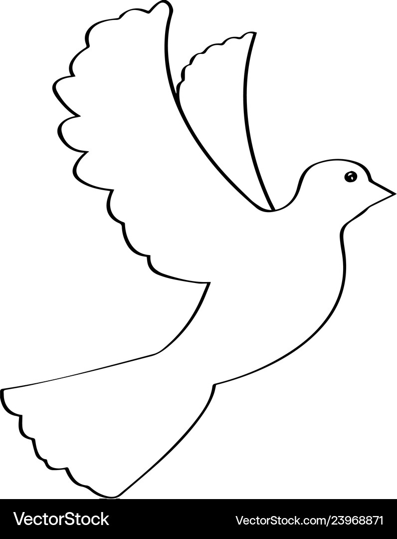 Outline of a pigeon Royalty Free Vector Image - VectorStock