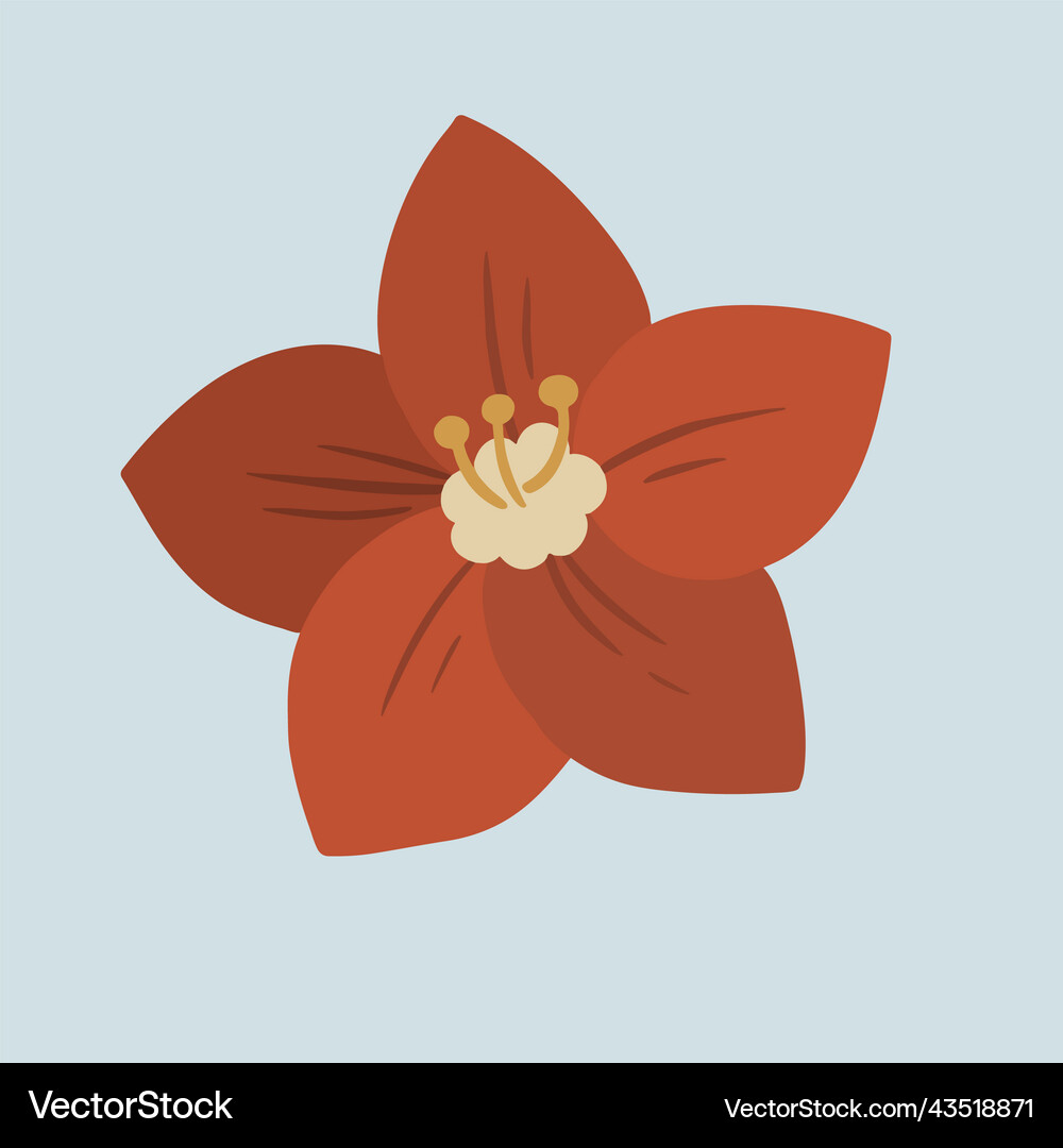 Red botanical flower social ads template Vector Image