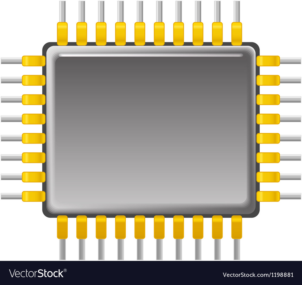 Chip Royalty Free Vector Image - VectorStock