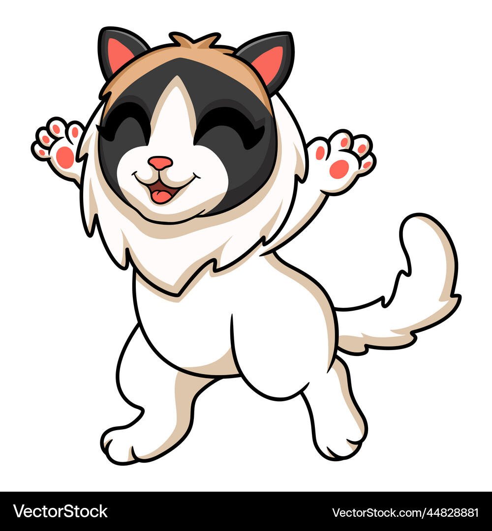 Cute rag doll cat cartoon Royalty Free Vector Image