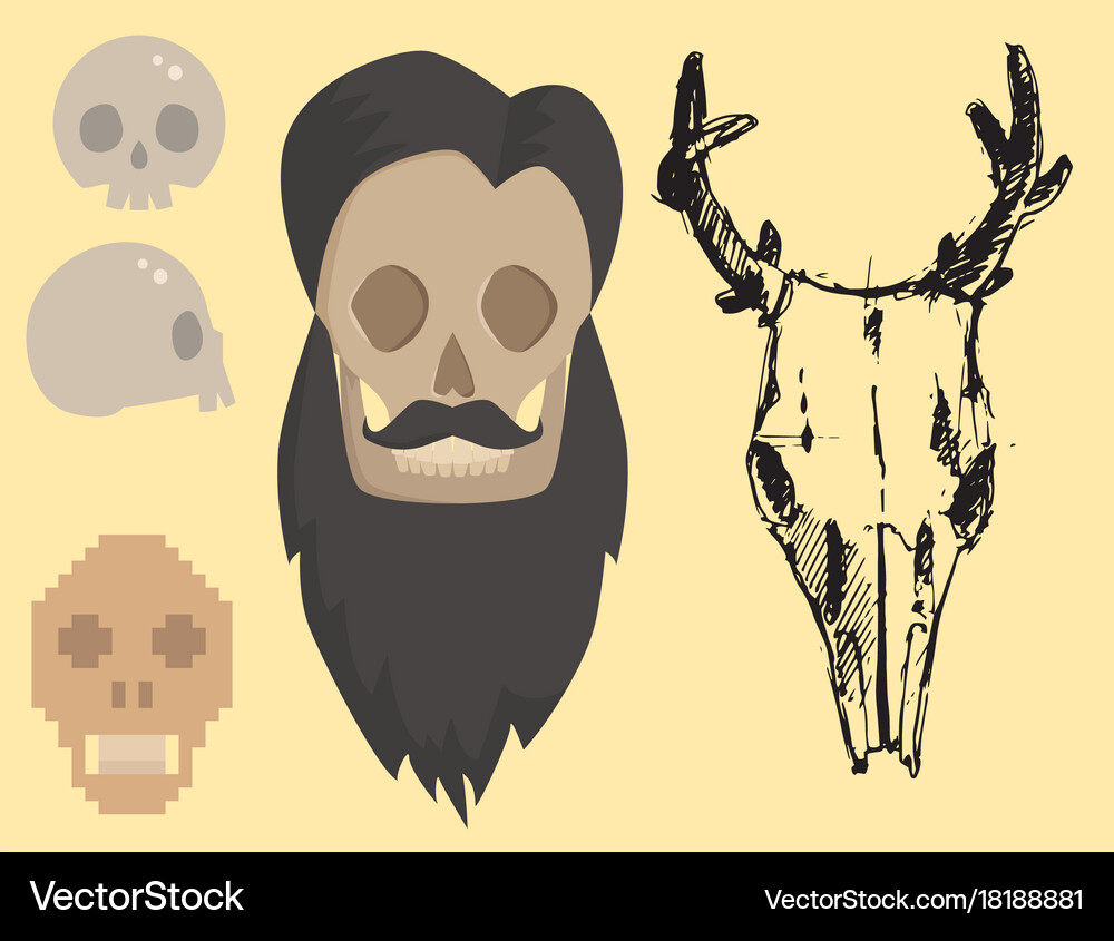 Different style skulls faces Royalty Free Vector Image
