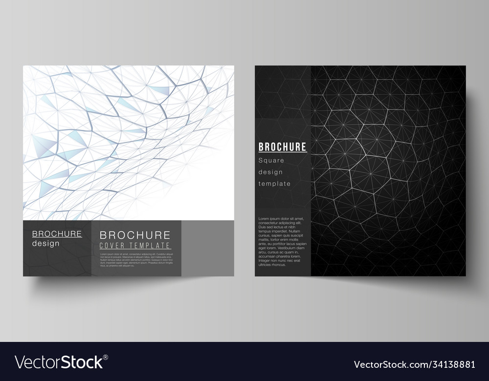 Layout two square format covers design Royalty Free Vector