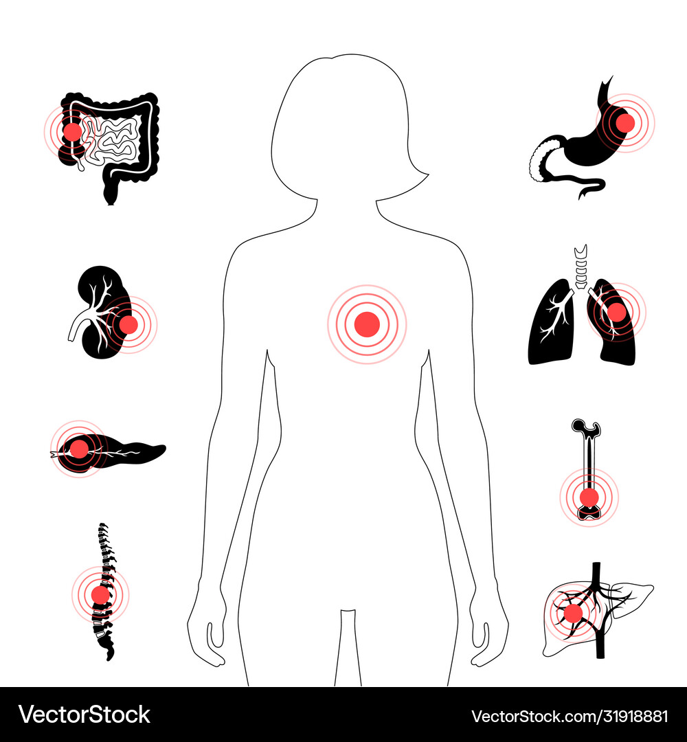 Pain in human body Royalty Free Vector Image - VectorStock