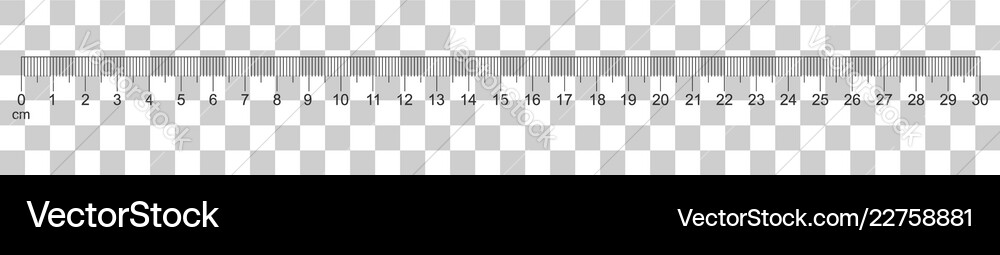 Ruler 30 centimeter icon in flat style meter Vector Image