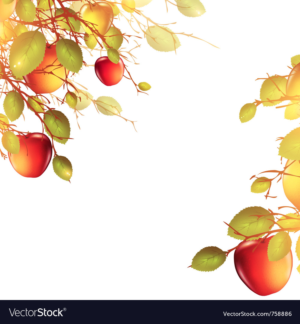 Apple tree Royalty Free Vector Image - VectorStock
