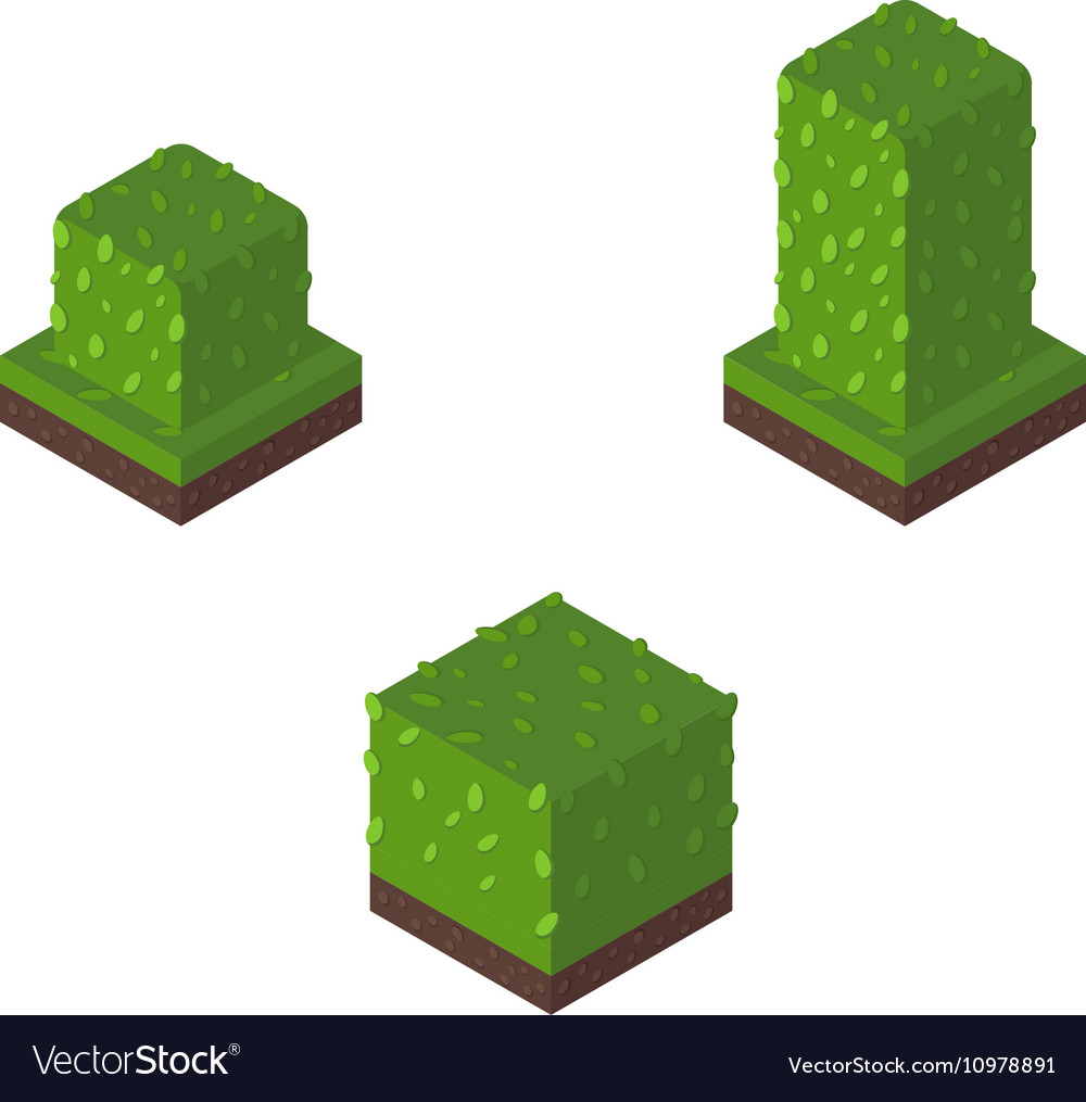 Isometric tree Royalty Free Vector Image - VectorStock
