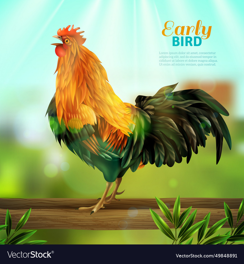Rooster Royalty Free Vector Image - VectorStock