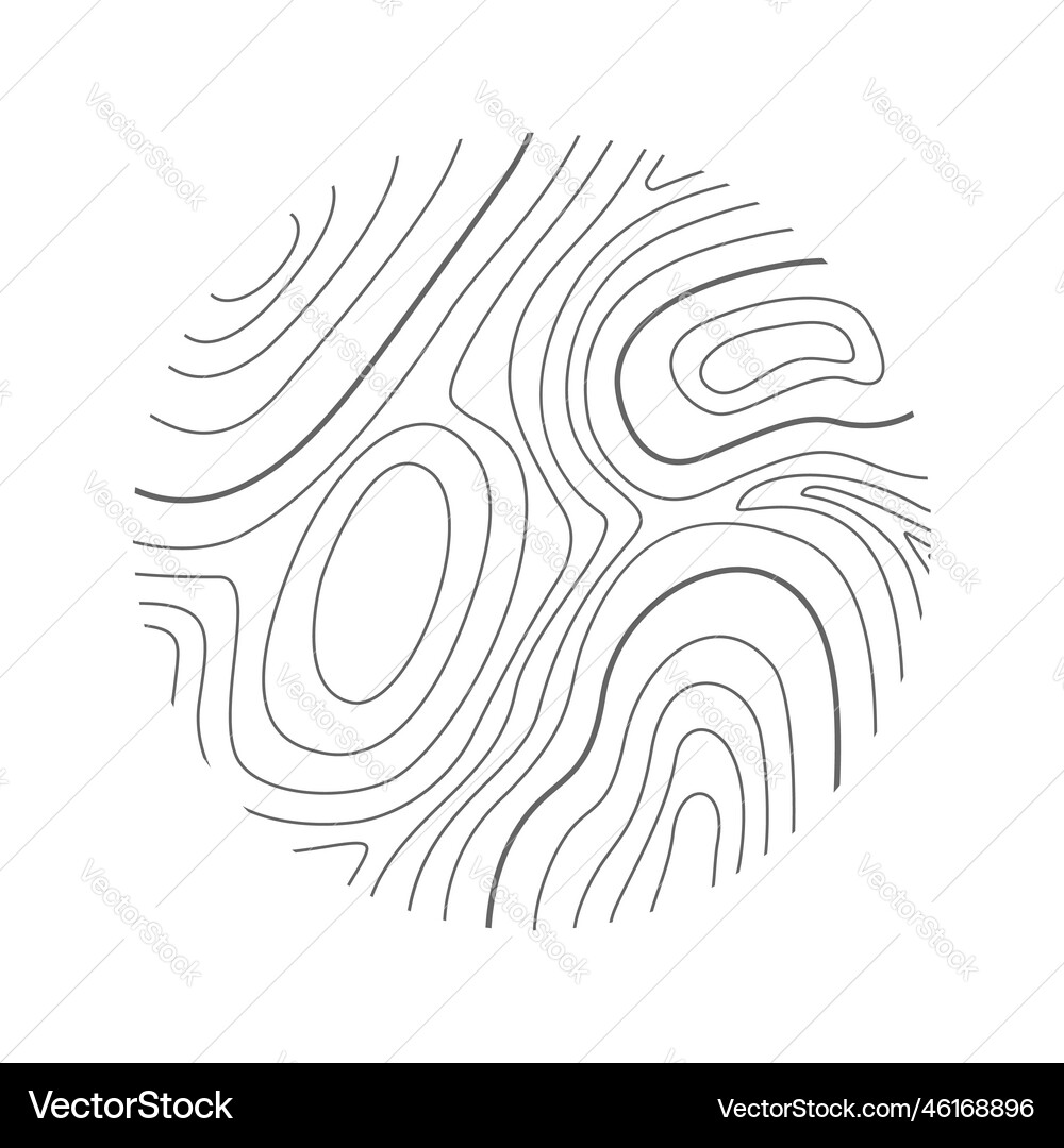 Round shape with topographic or wooden texture Vector Image