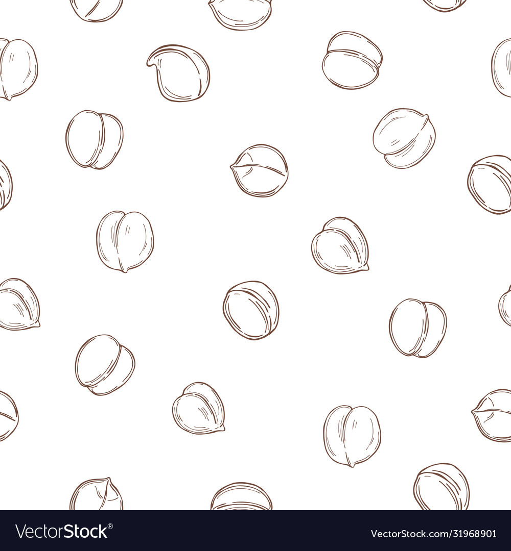 Hand drawn chickpeas beans seamless pattern Vector Image Hand drawn chickpeas beans seamless pattern Vector Image