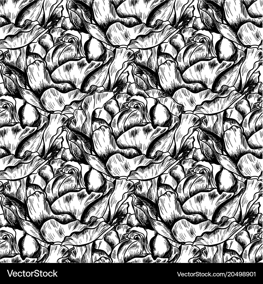 Seamless pattern of highly detailed hand drawn Vector Image