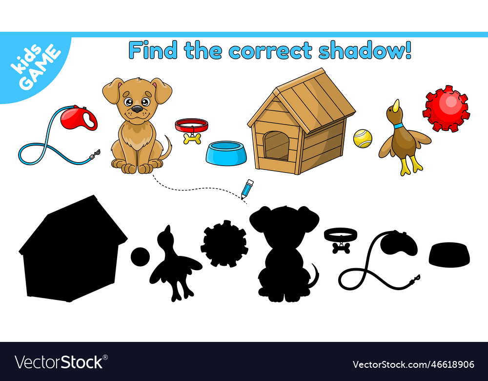 Find the shadow of cartoon dog and accessories Vector Image