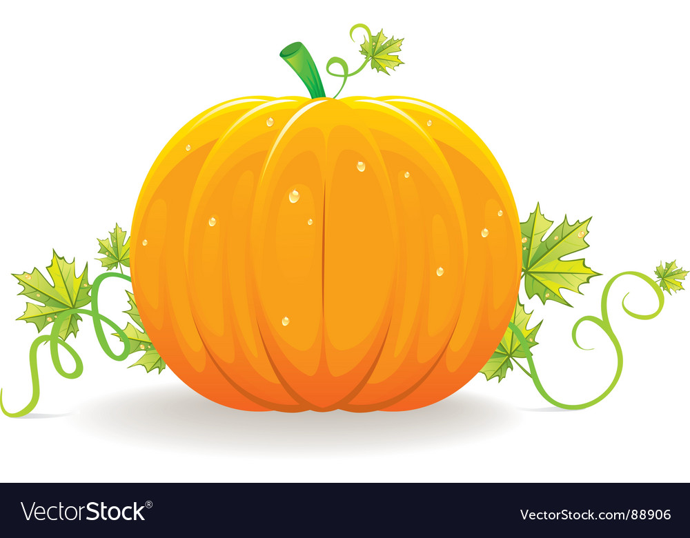 Pumpkin Royalty Free Vector Image - VectorStock