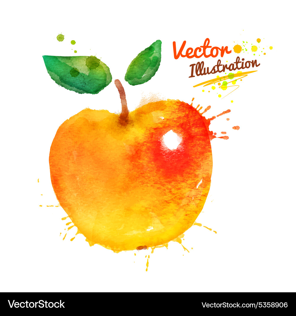 Watercolor apple Royalty Free Vector Image - VectorStock