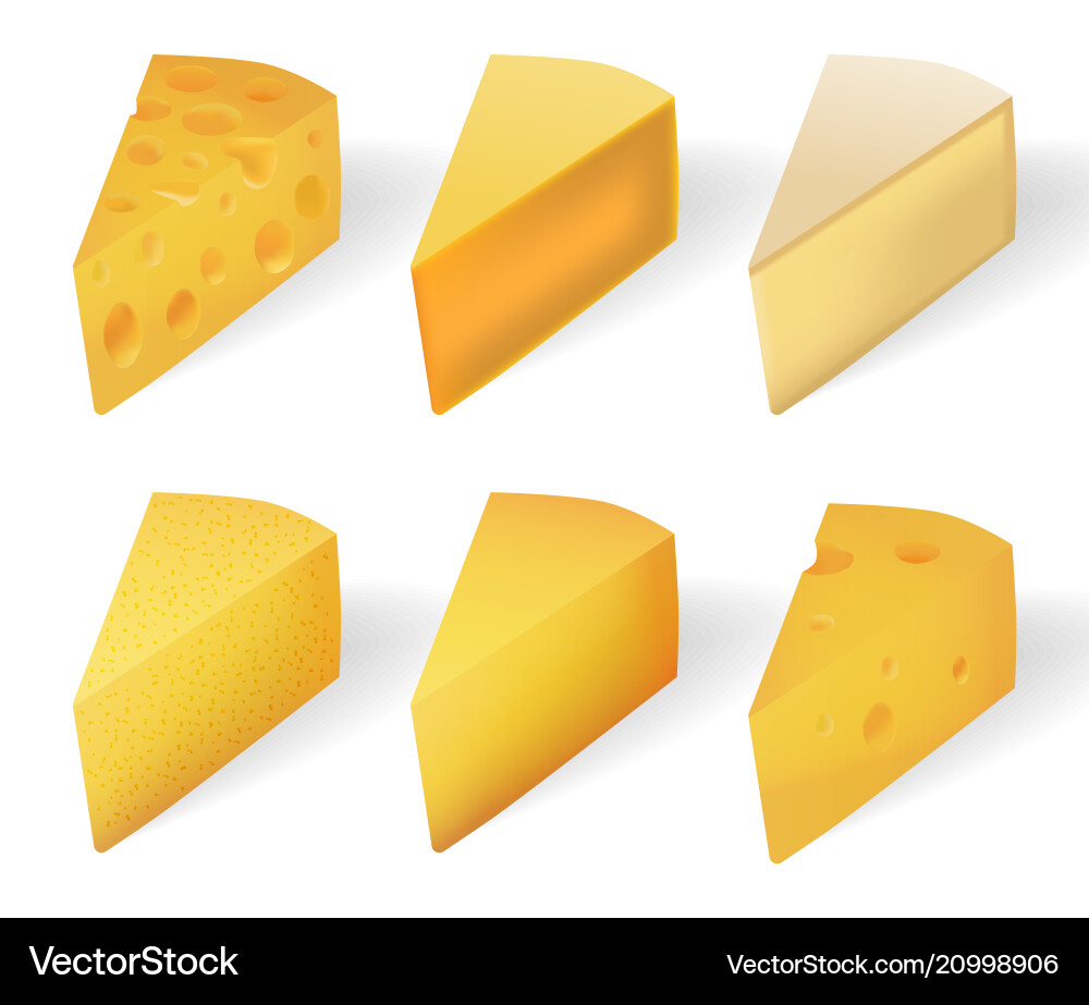 Yummy yellow cheese isolated on white realistic Vector Image
