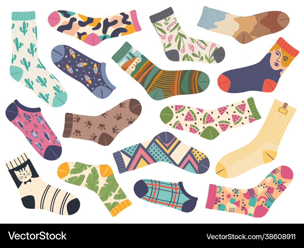Socks cute fashionable with various cute Vector Image