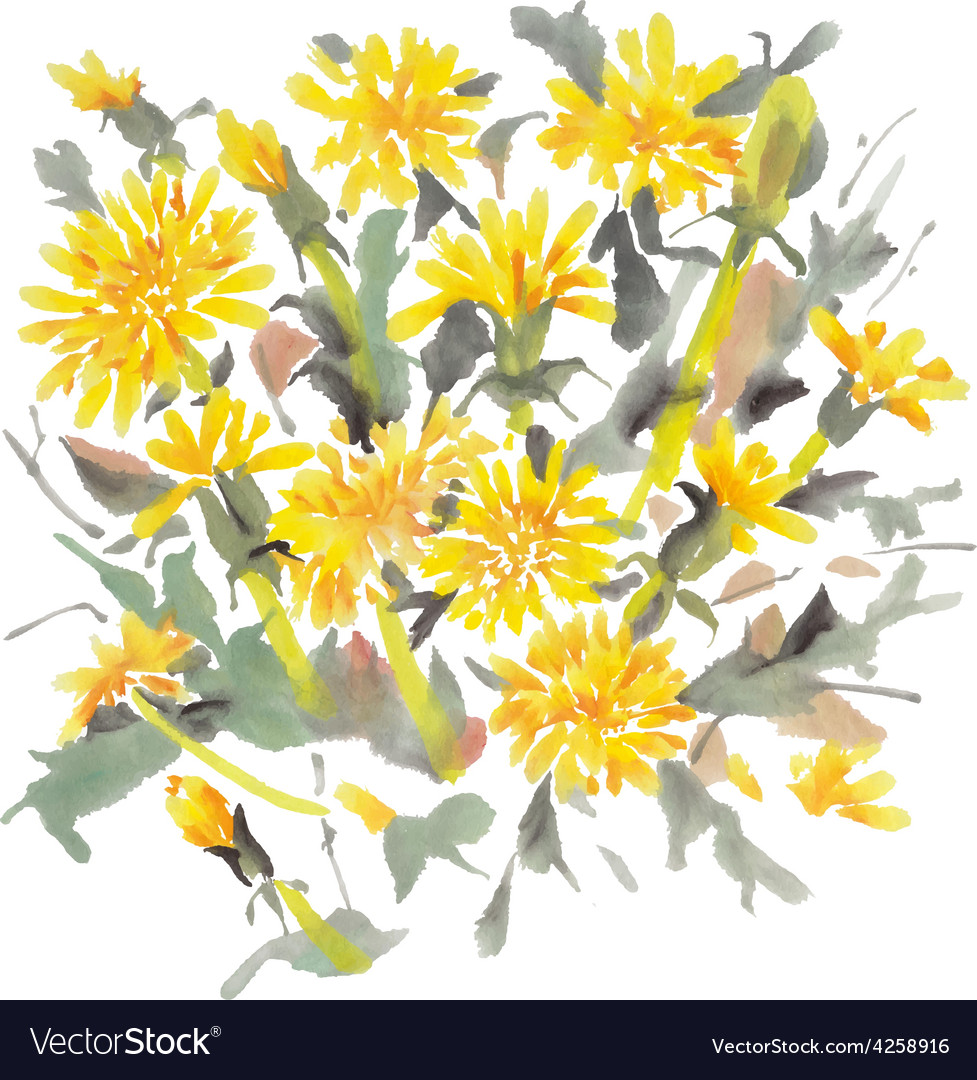 Dandelions Royalty Free Vector Image - VectorStock