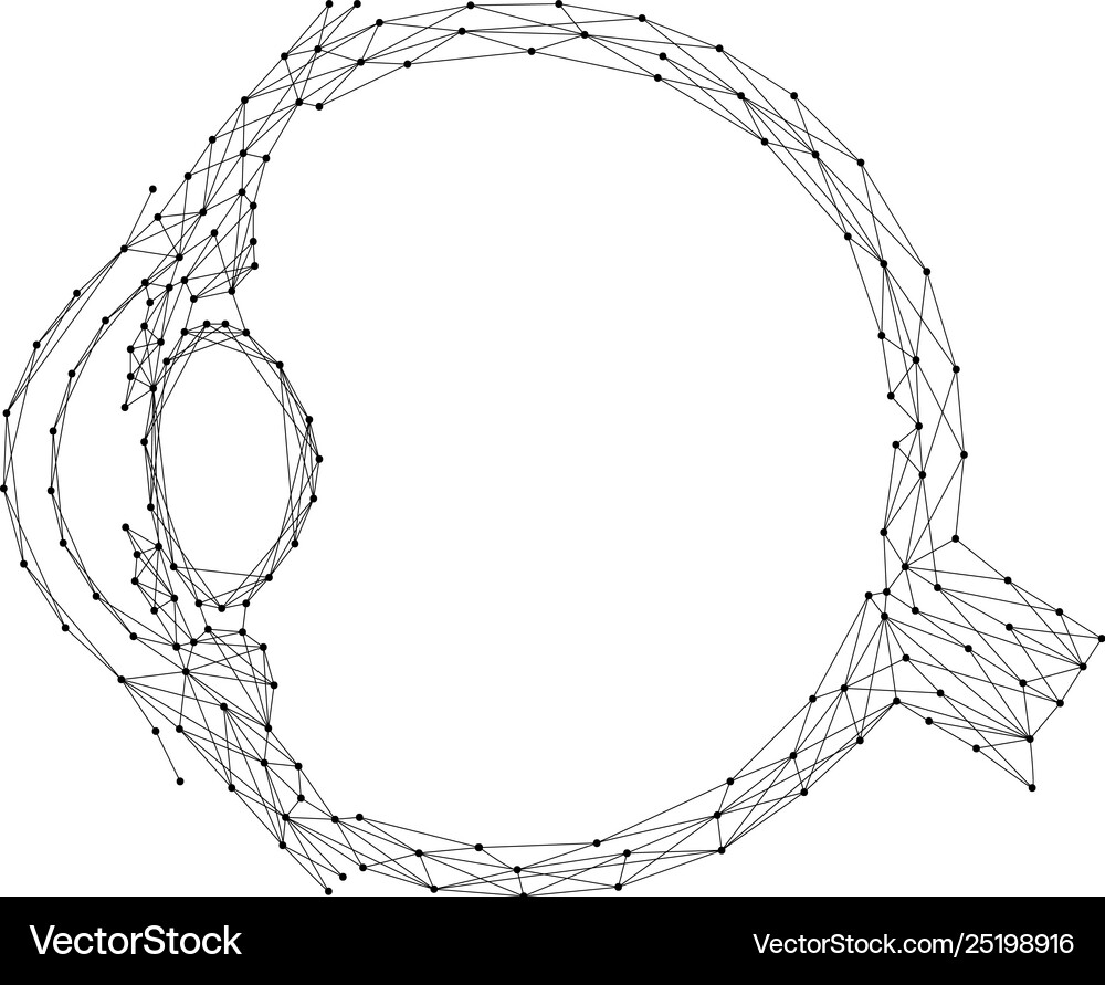 Eye human in context an anatomical organ Vector Image