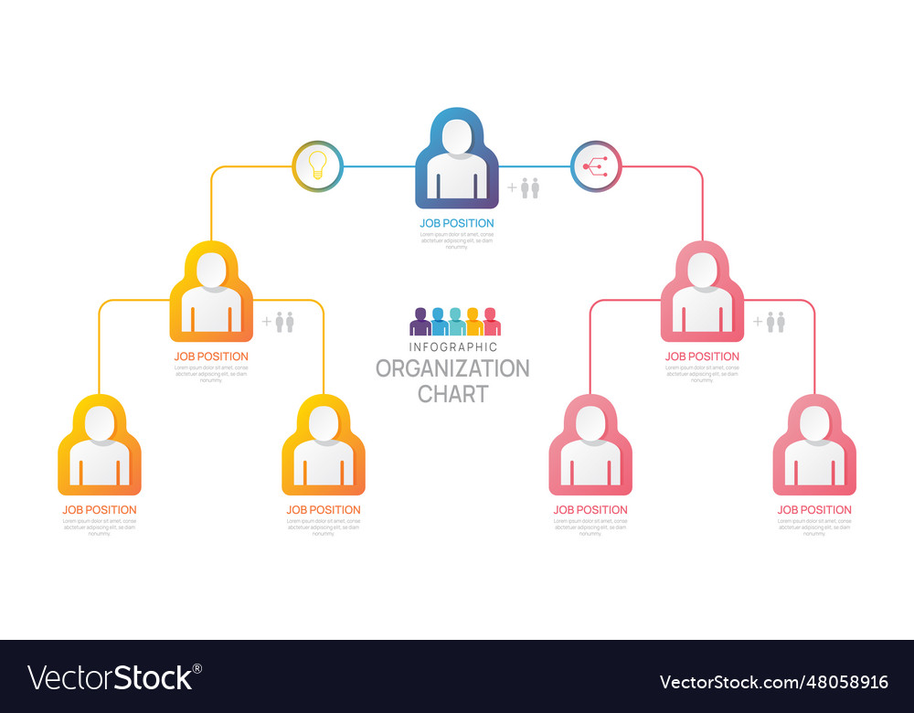 Infographic template for organization chart Vector Image
