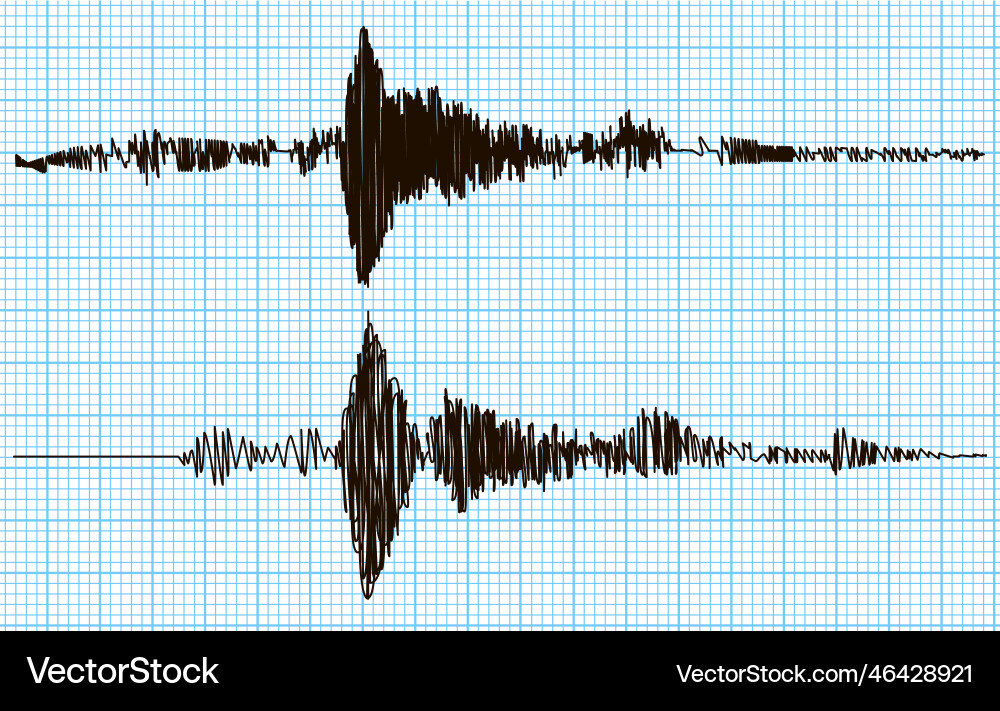 Double seismogram of seismic activity or lie Vector Image
