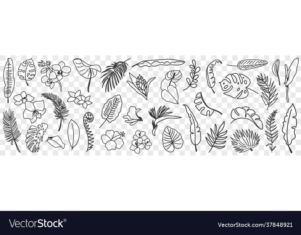 Natural leaves pattern doodle set Royalty Free Vector Image