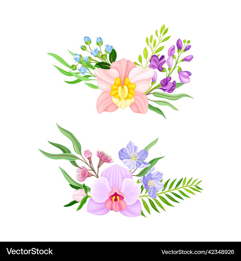 Bouquets with beautiful tropical flowers Vector Image