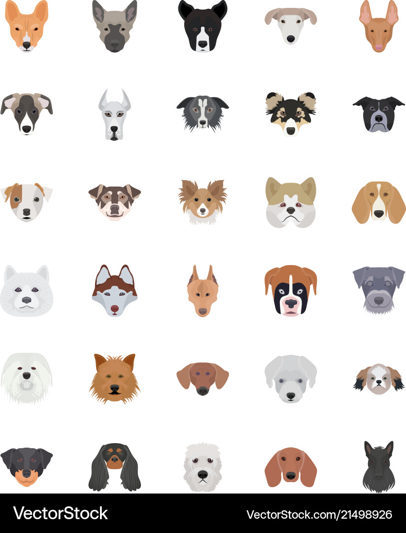 Breeds dogs flat icons set Royalty Free Vector Image