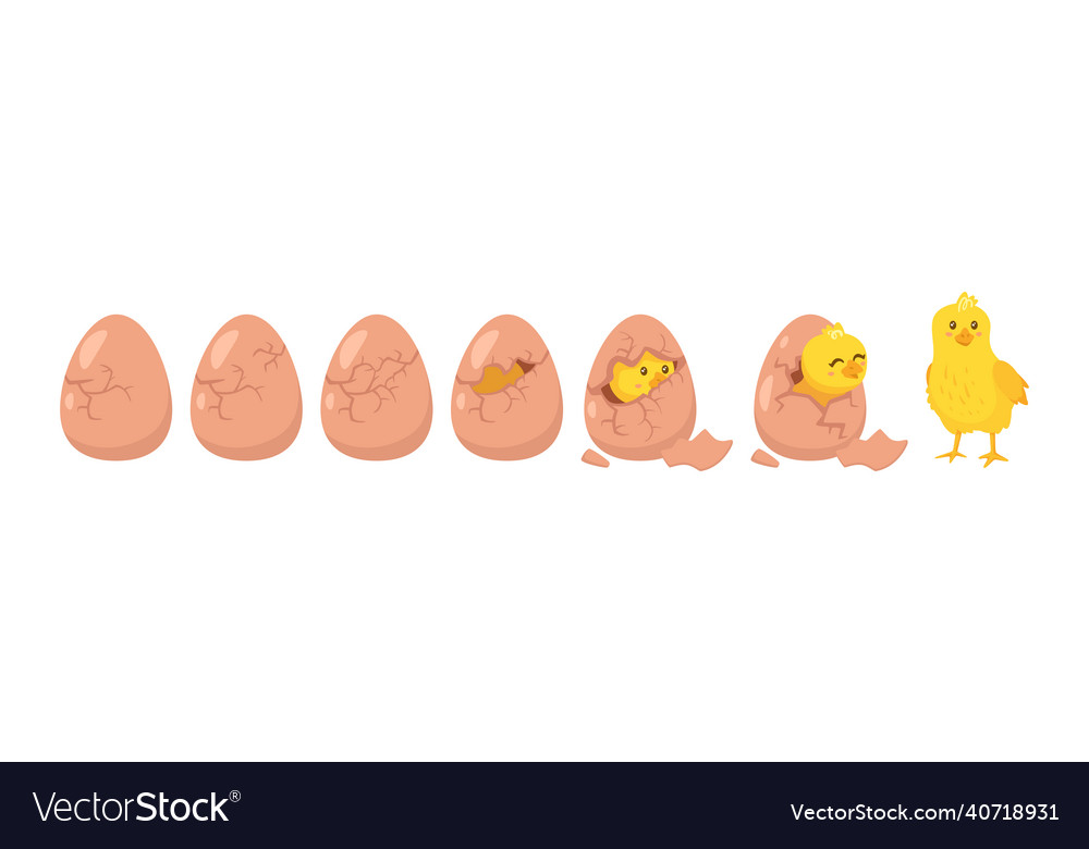 Hatching process cartoon Royalty Free Vector Image