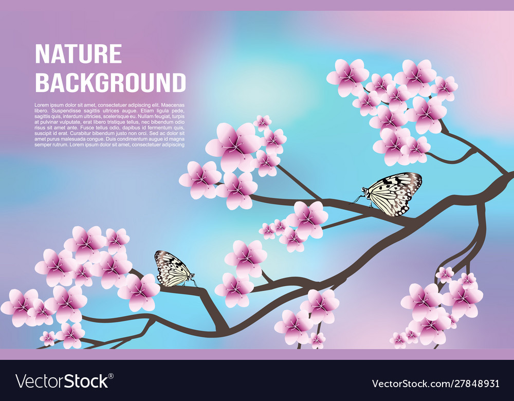 Nature background with tree blossom and two Vector Image