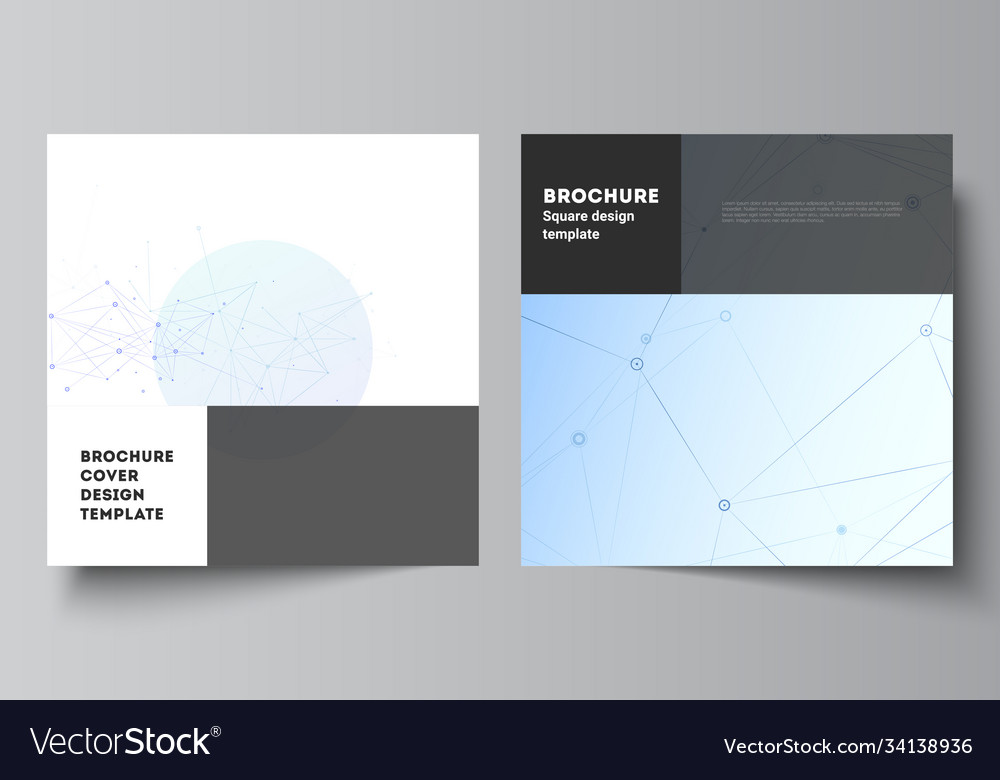 Layout two square format covers Royalty Free Vector Image