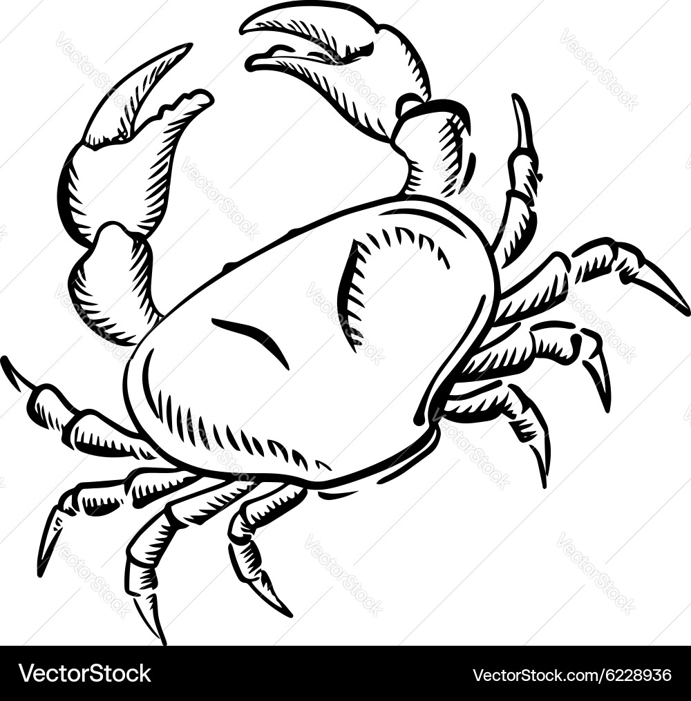 Marine crab with big claws sketch Royalty Free Vector Image