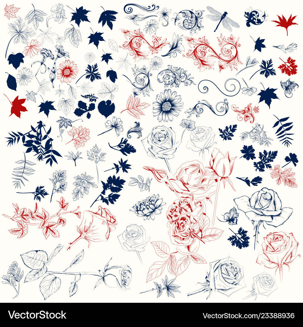 Pack engraved high detailed flowers for design Vector Image