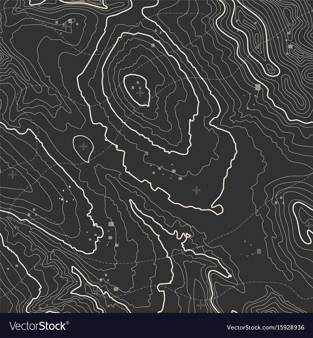 Seamless pattern topographic map background Vector Image