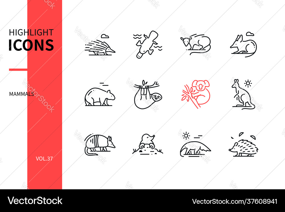 Different mammals - modern line design style icons
