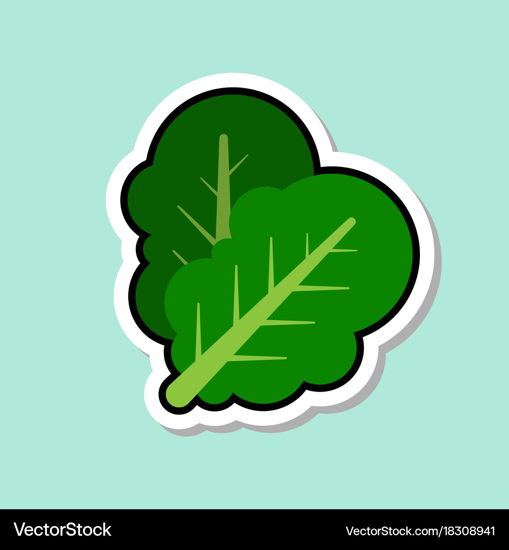 Lettuce sticker on blue background colorful Vector Image