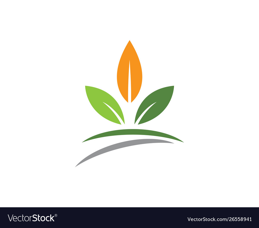 Tree leaf logo design Royalty Free Vector Image