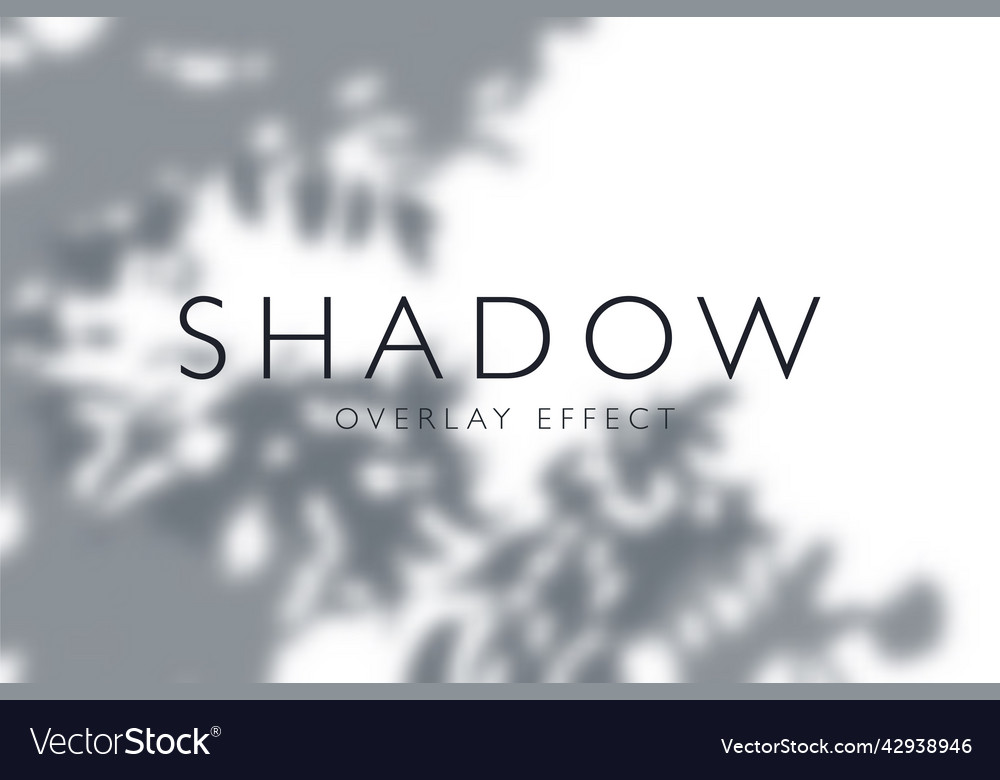 Realistic shadow background Royalty Free Vector Image