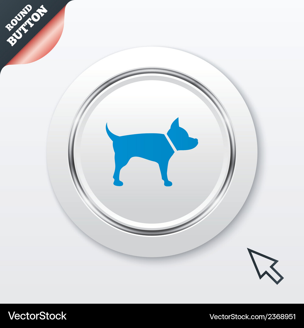 Dog sign icon pets symbol Royalty Free Vector Image