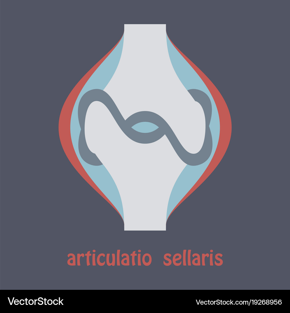 Knee joint health care icon flat Royalty Free Vector Image