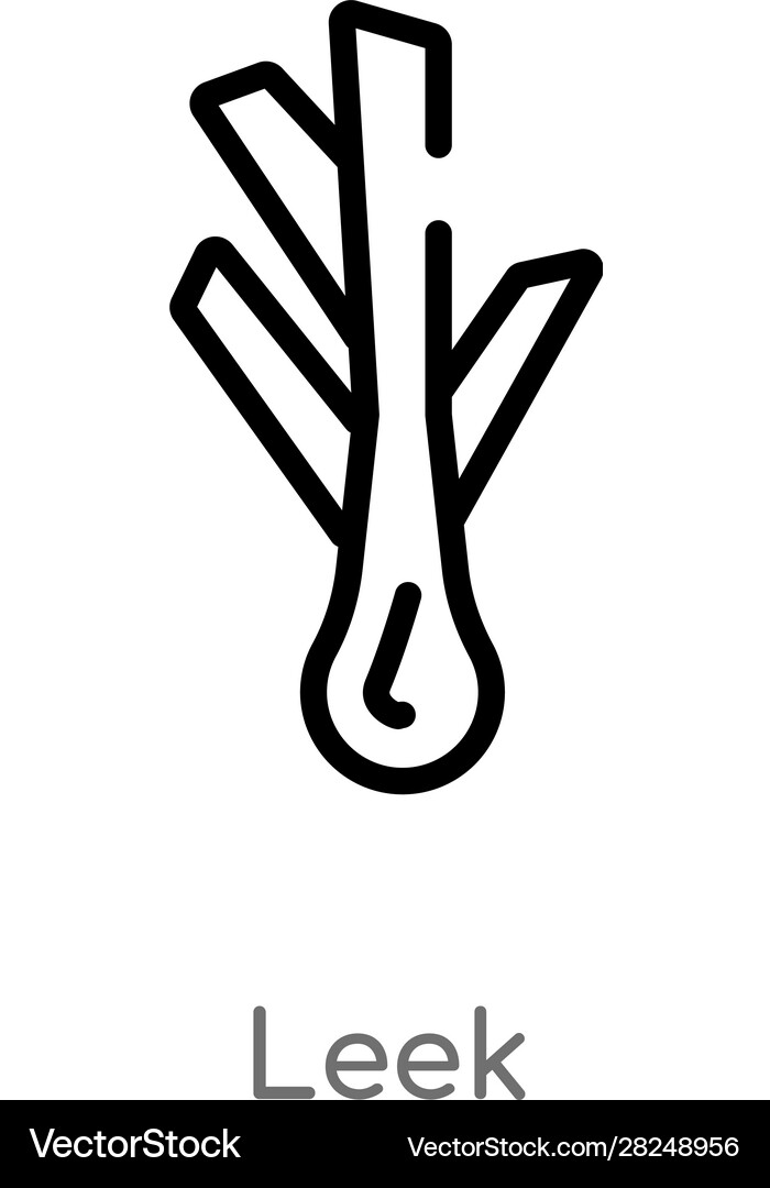 Outline leek icon isolated black simple line Vector Image