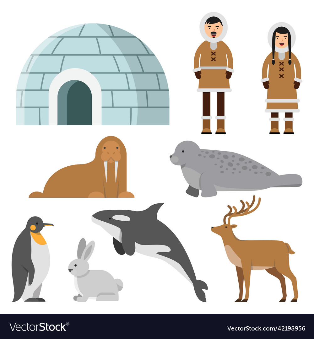Polar arctic animals and residents of the north Vector Image